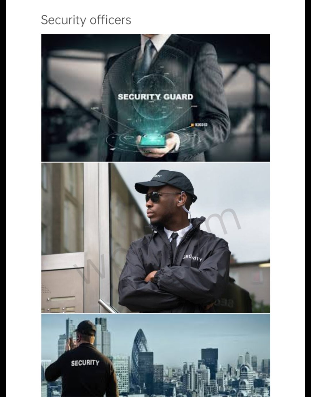 Services - Stealth Tactical Armed Response